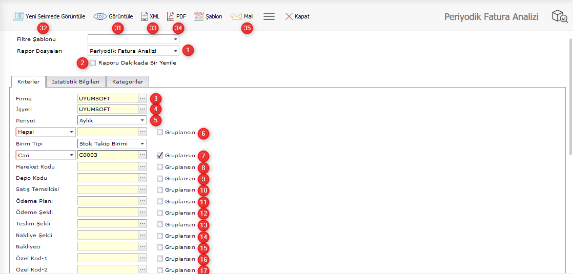 Periyodik Fatura Analiz