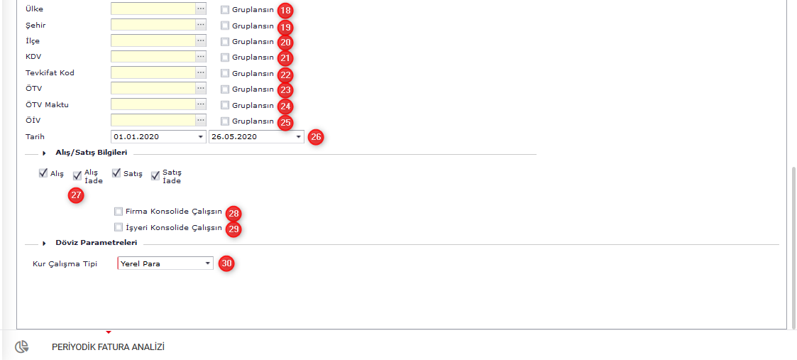 Periyodik Fatura Analiz